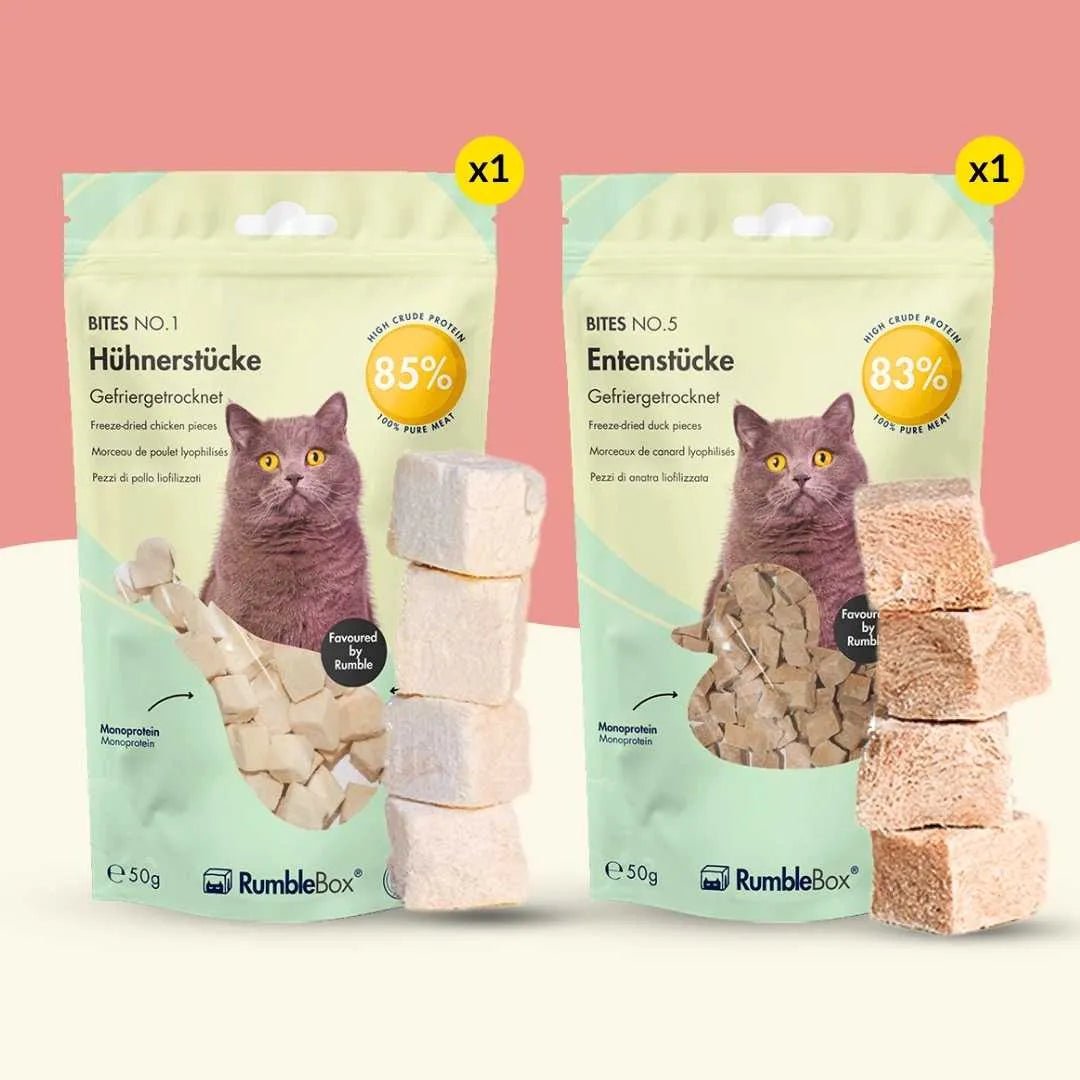 Sparbox Huhn- & Entenstücke, Gefriergetrocknete Katzensnacks 2x50g